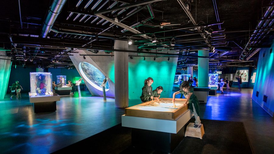 Frost Museum of Science - Acentech Project Profile