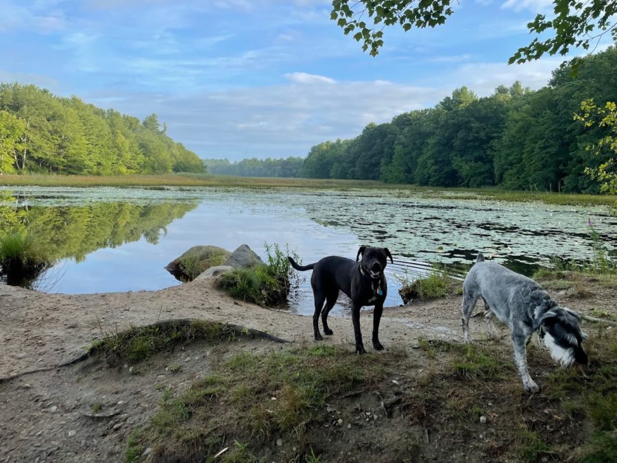 Stacey Micka, Director, Human Resources - Acentech